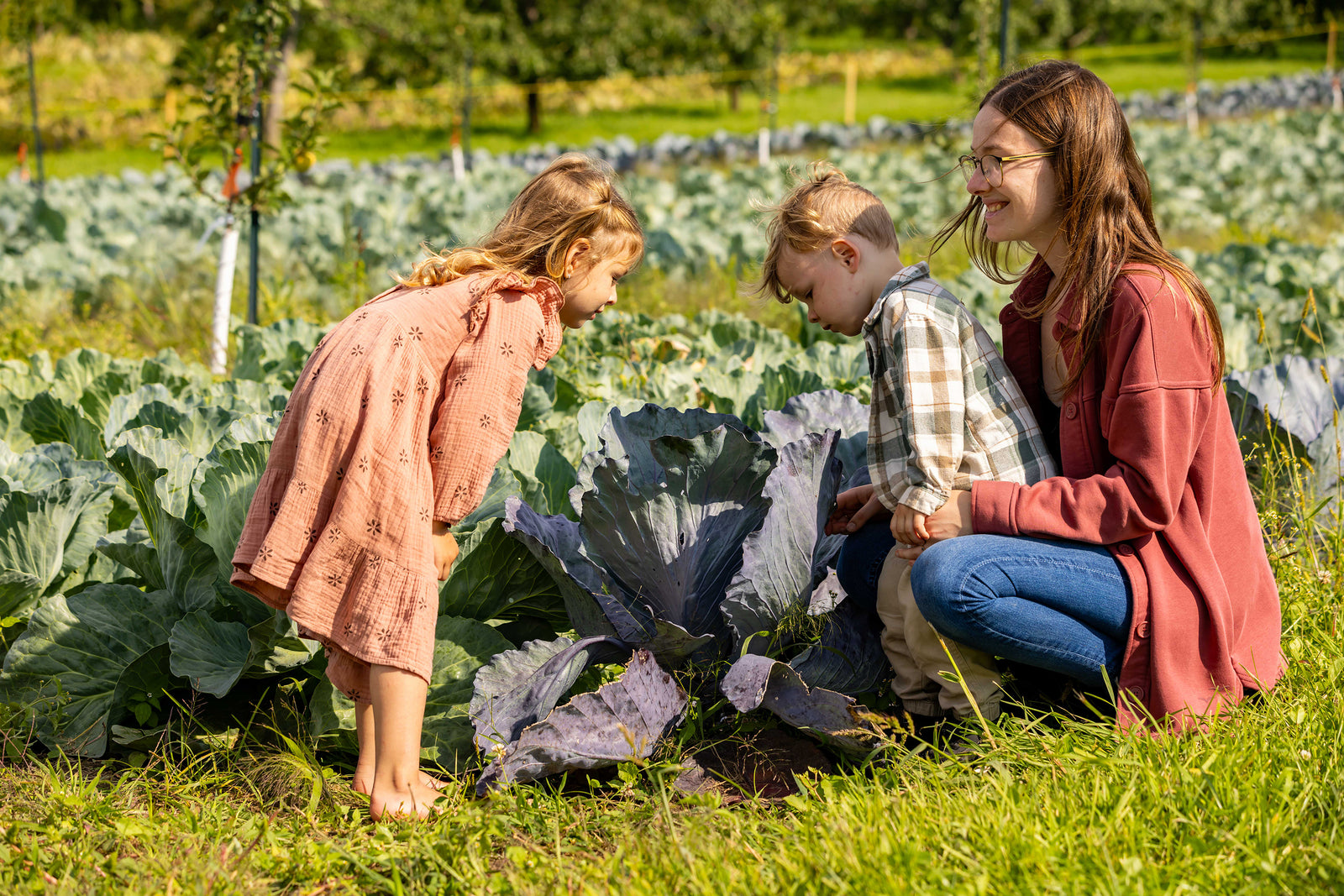 Orchard and Pick-your-own – labontedelapomme